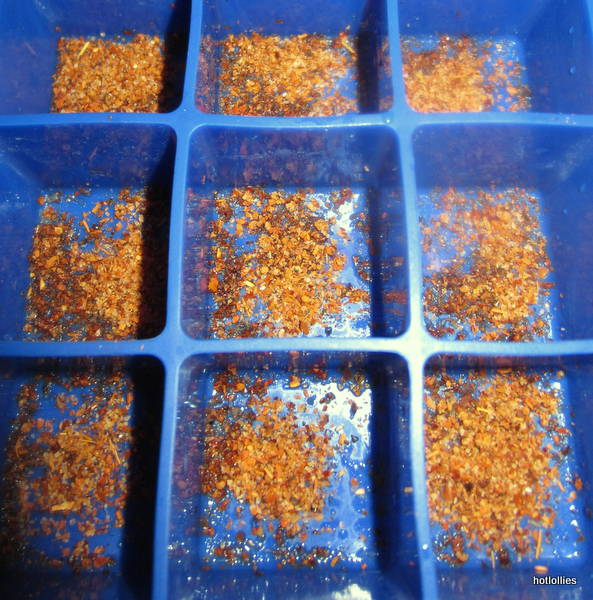 Summer in May: Spicy Ice Pops to Cool You Off - Hot Lollies