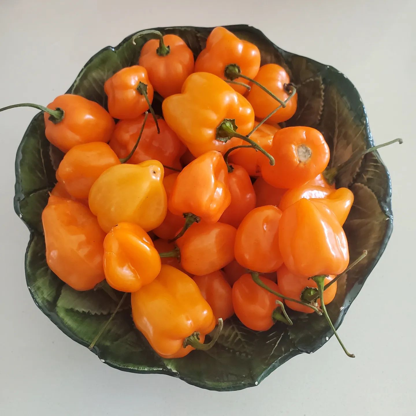 Homemade Bajan Style Pepper Sauce - Hot Lollies